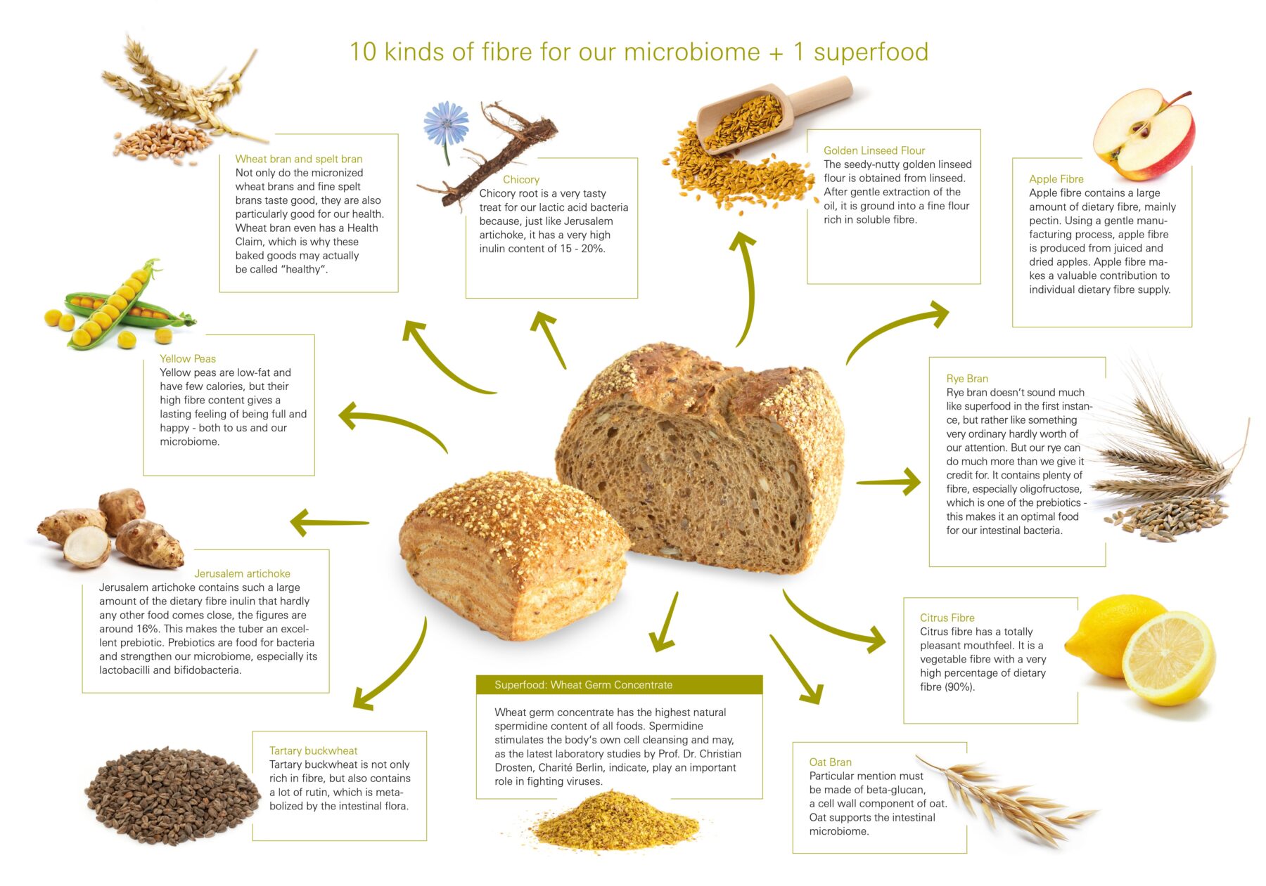 GOOD Fibres 10+1 - GoodMills Innovation