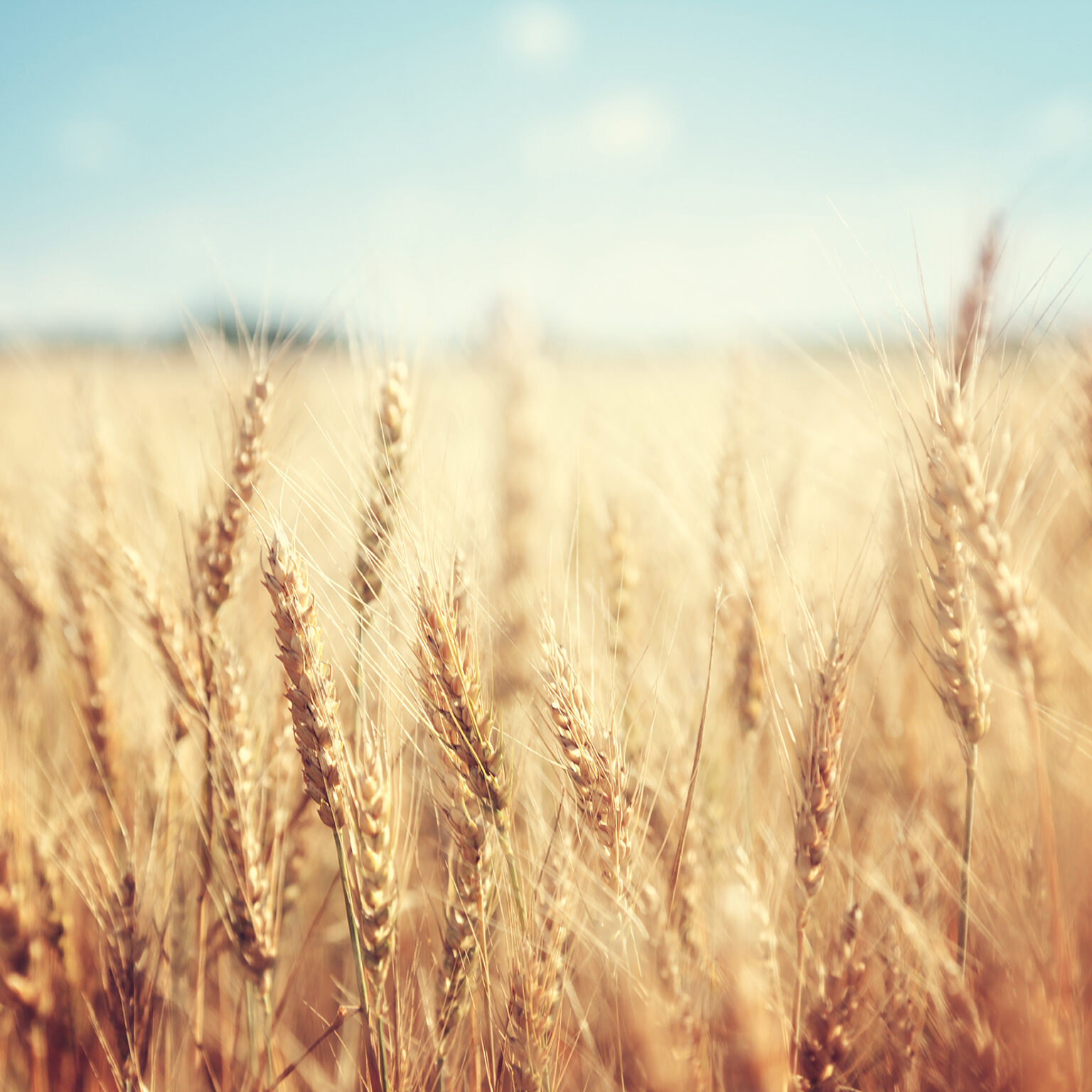 About us - GoodMills Innovation